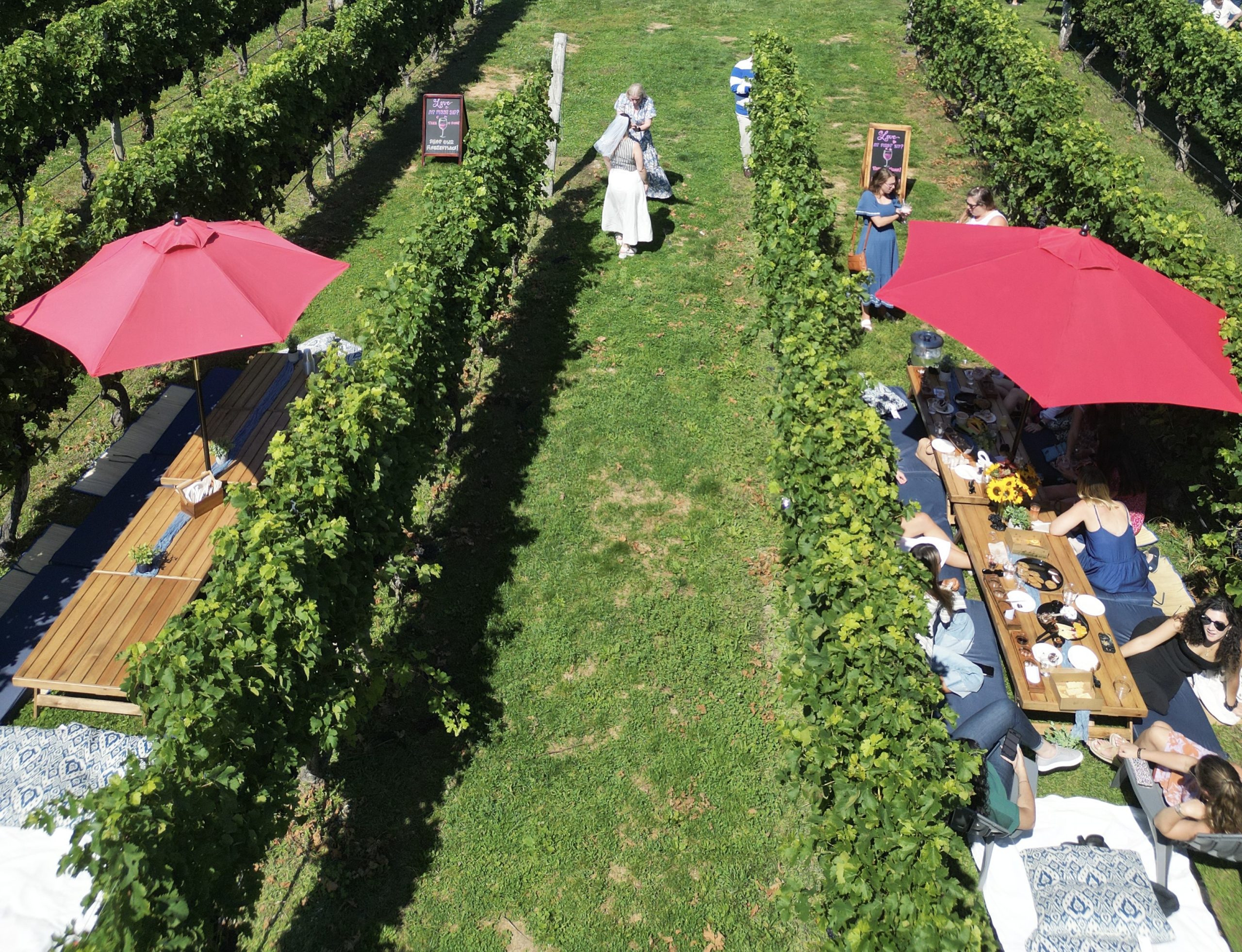 2025 Cider Fest at Newport Vineyards - Whats Going On In RI